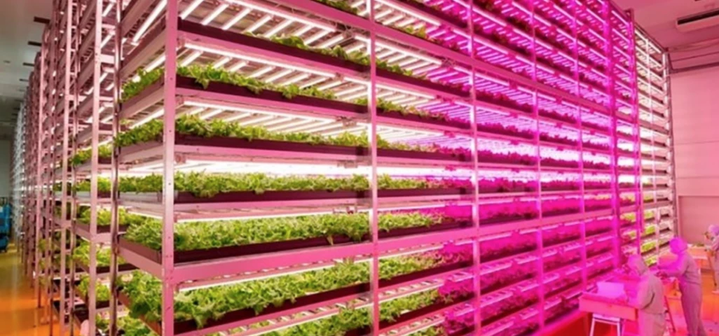 PlantLab, pionnier de l'agriculture verticale, s'appuie sur sa ...