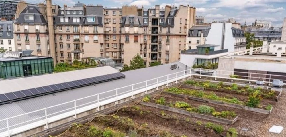 « Paris Sème » soutient 13 nouveaux projets - News/Actualités