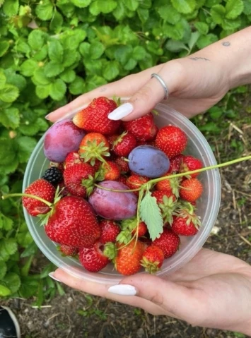 Urbanescence souhaite que "ça bouge aux Fruits Rouges de Montrouge ...