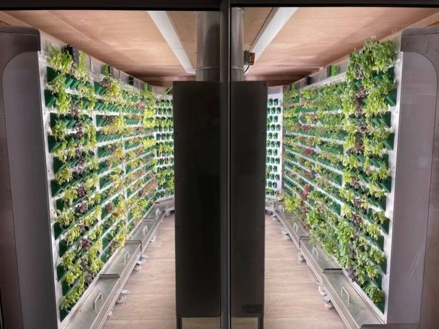 Farm3 poursuit son développement - News/Actualités