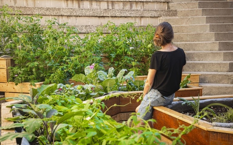Paris Sème dédié aux acteurs de la filière agricole durable de ...