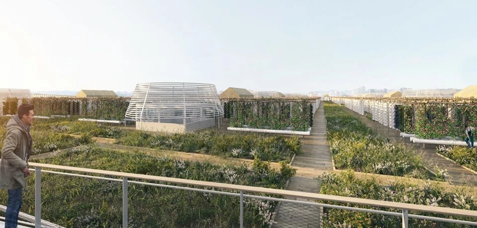Europe's biggest urban farm opens in Paris - News/Actualités